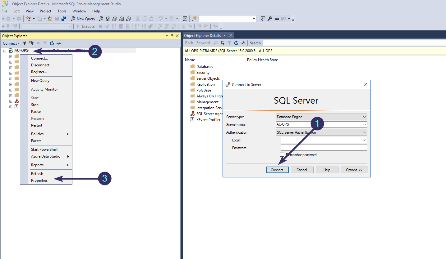 How to: Set database cache limit on SQL Server – Micromine Geobank